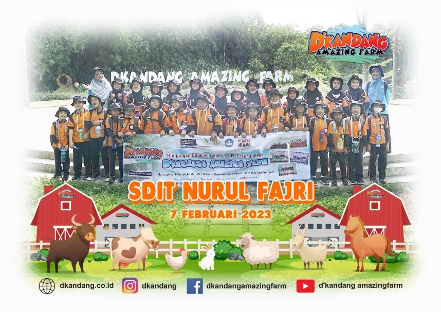 Serunya Bermain dan Belajar di D’ Kandang Amazing Farm - SDIT Nurul Fajri